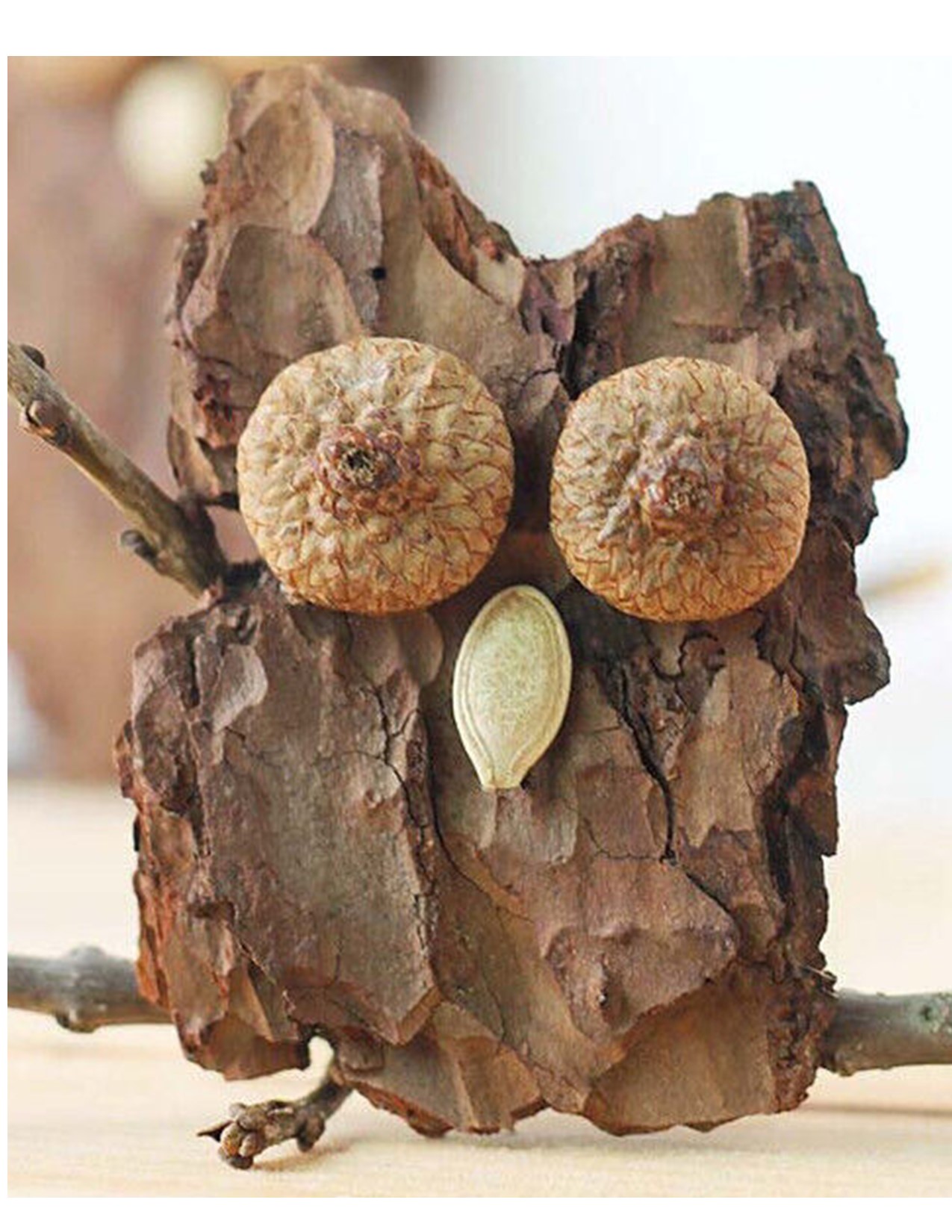 Creation Station: Tween/Teen Found Object Creatures | Sarasota County Libraries